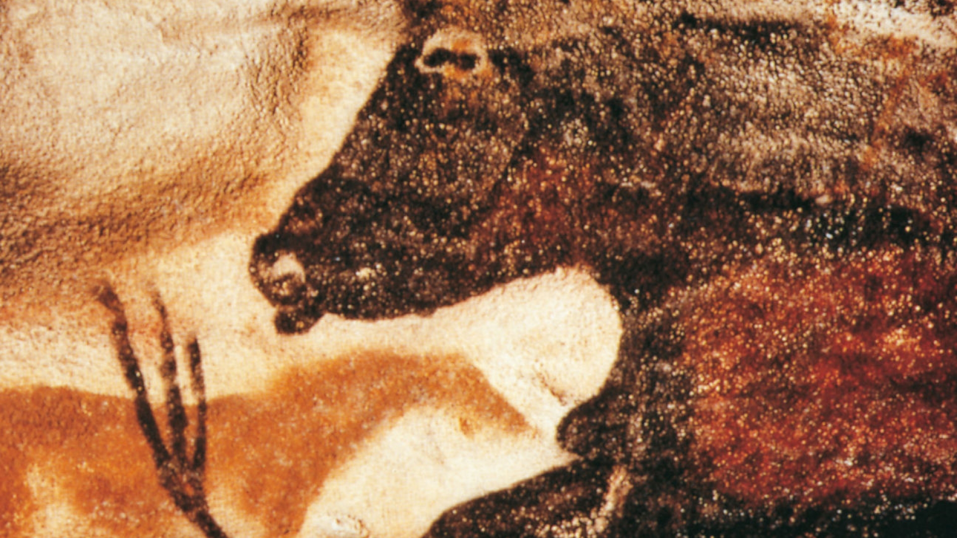 Altsteinzeit | wissen.de