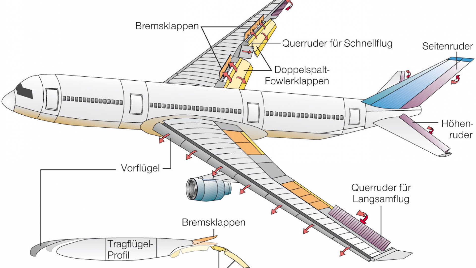 Tragwerk | wissen.de