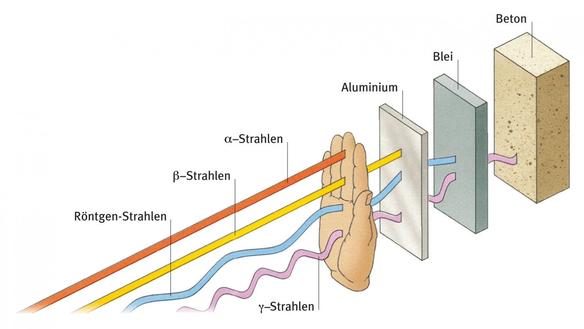 Gammastrahlung, aus dem Gesundheitslexikon | Gesundheit, Medizin und Heilkunde auf wissen.de
