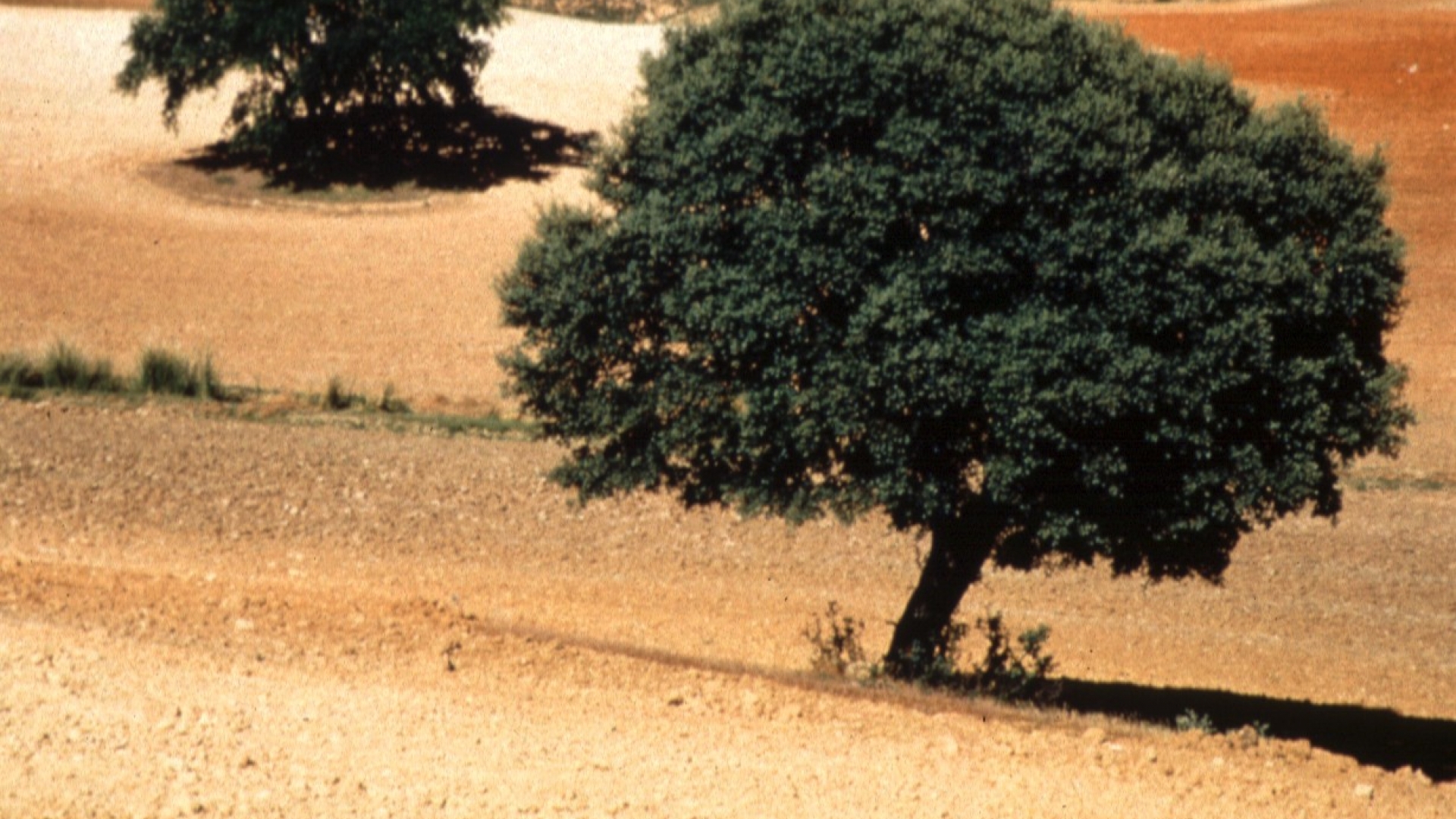 Pyrenäenhalbinsel | wissen.de
