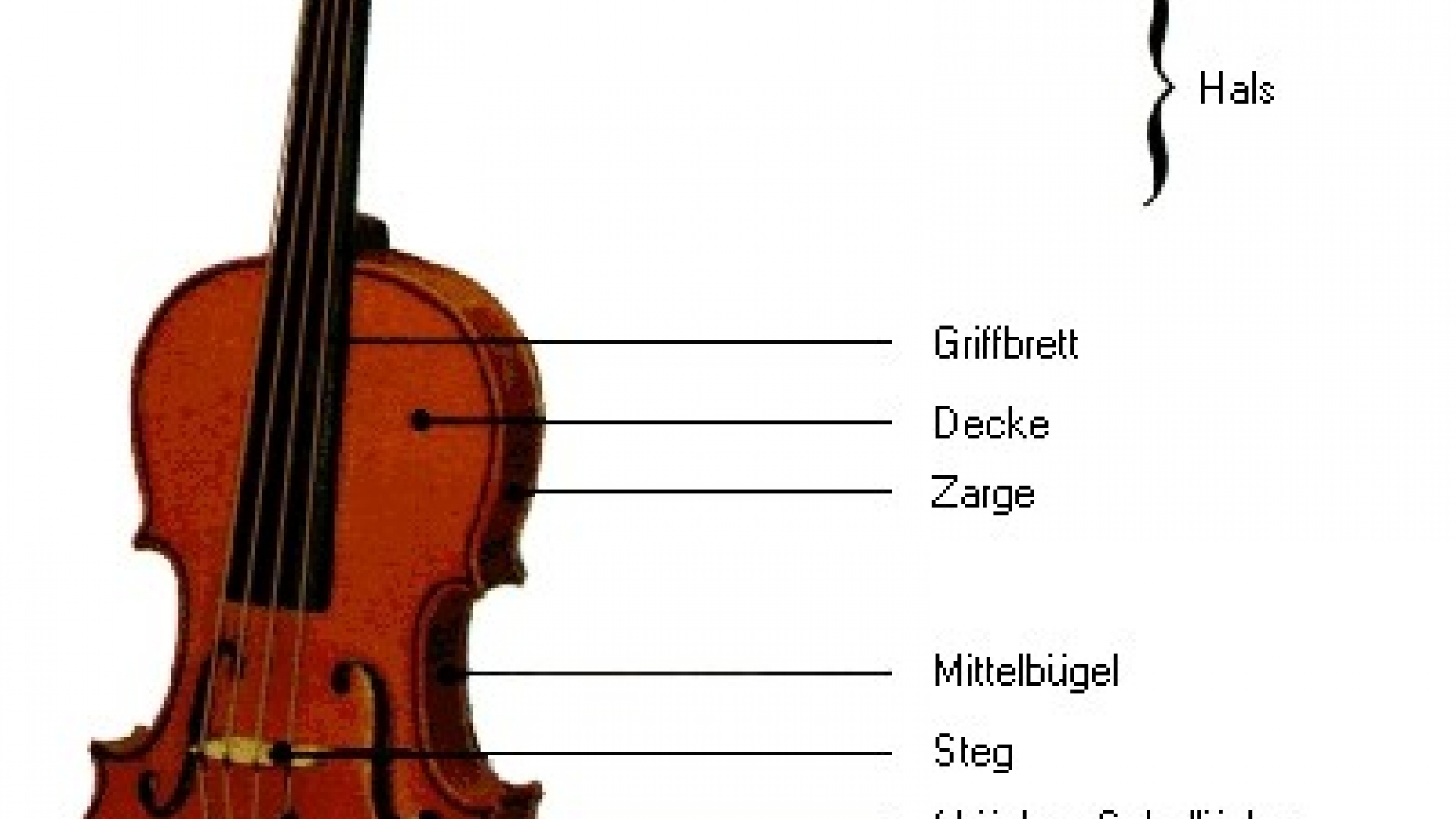 Violine | wissen.de
