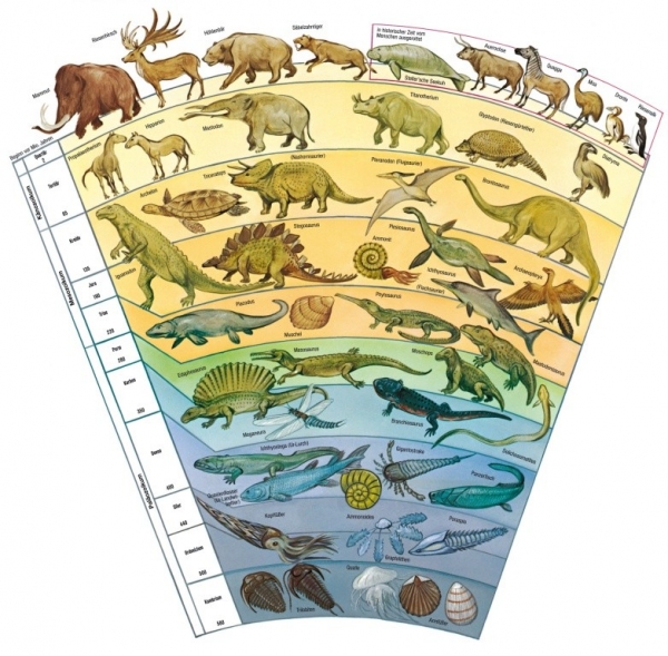 Aussterben | wissen.de