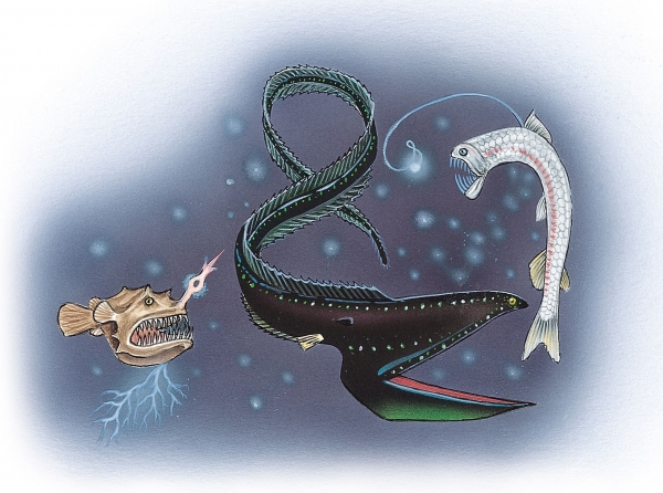 Sackmäuler | wissen.de