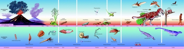 Evolution | wissen.de