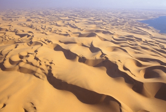 Wüsten aus dem Lexikon | wissen.de