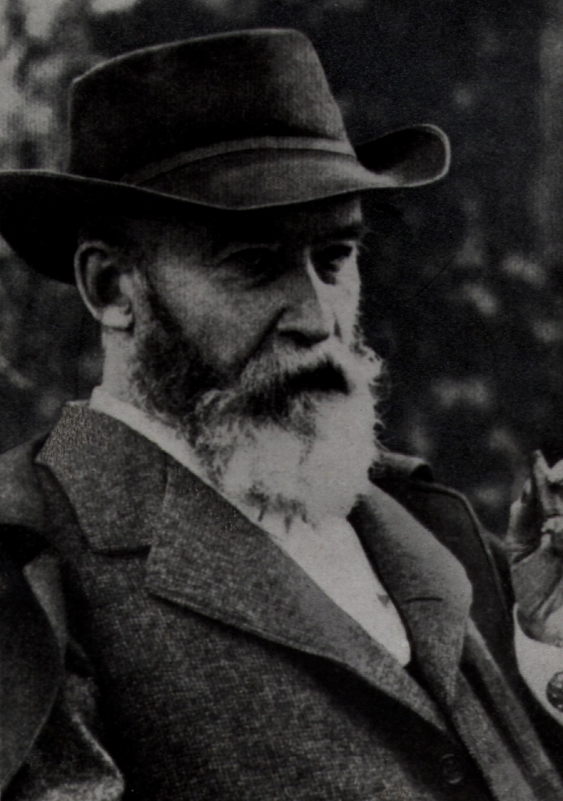 Busch, Wilhelm aus dem Lexikon | wissen.de