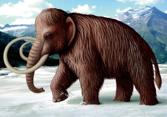 Mammut aus dem Lexikon | wissen.de