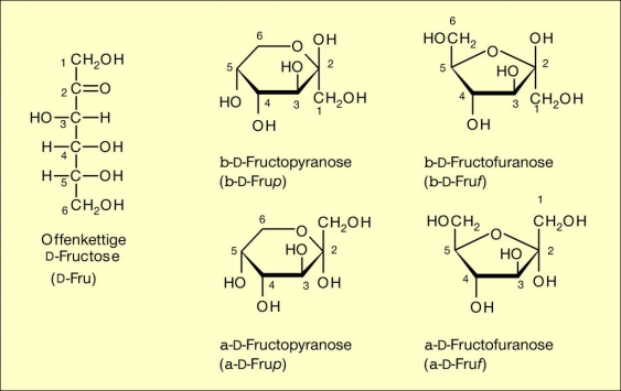 Fructose, aus dem Gesundheitslexikon | Gesundheit, Medizin und ...