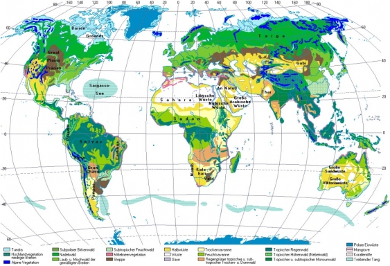 Trockengebiete | wissen.de