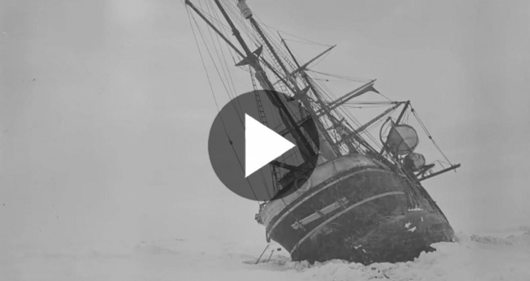 Über 100 Jahre nach Untergang: Gesunkenes Shackleton-Schiff "Endurance ...