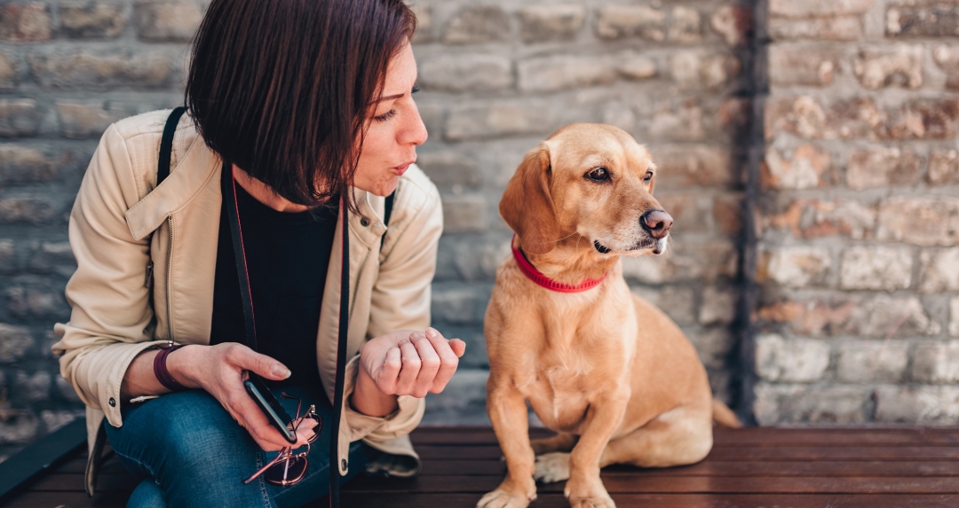 Können Haustiere mit uns sprechen? | wissen.de