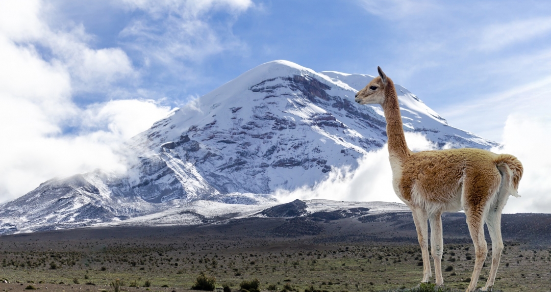 Wissenstest über | Anden-Quiz | wissen.de