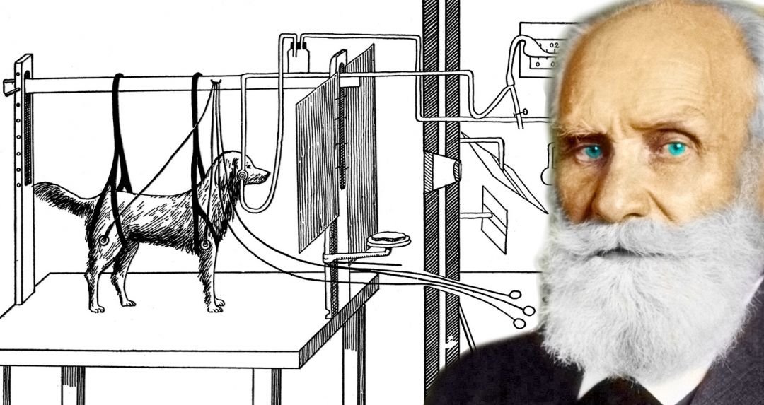 Happy Birthday, Pawlow! | wissen.de