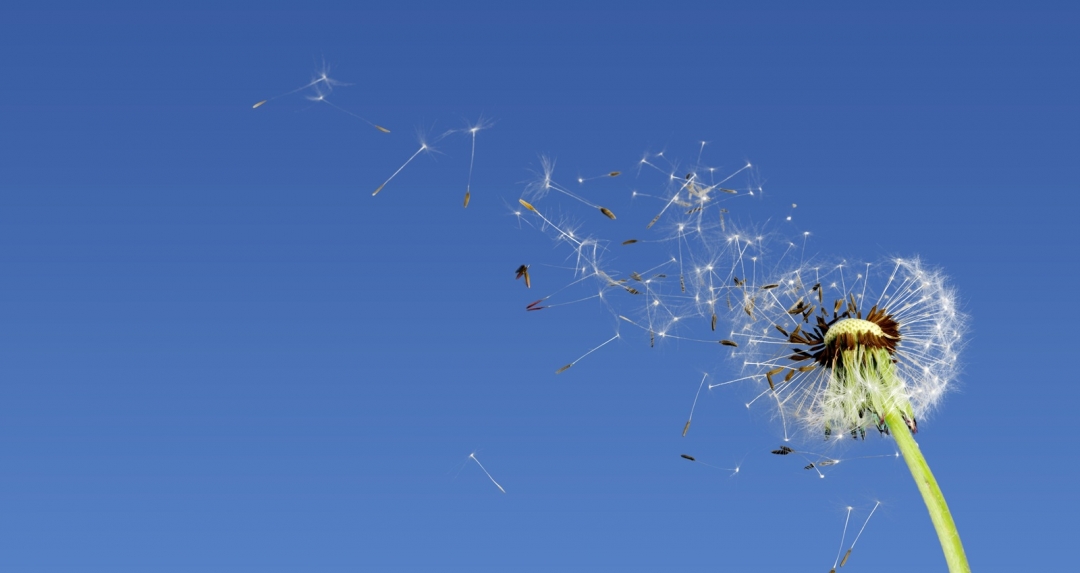 Wissenstest über | Luft-Quiz | wissen.de