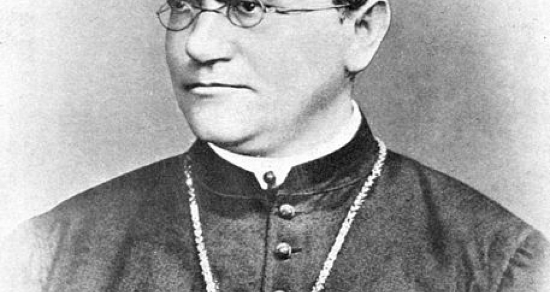 150 Jahre Vererbungsregeln | wissen.de