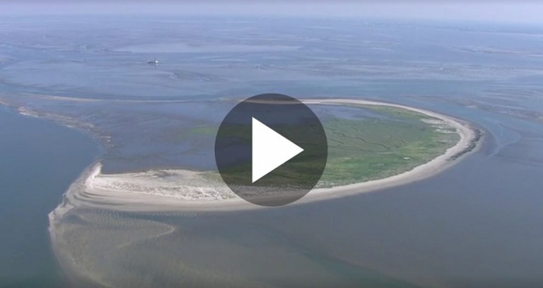 Trischen in Schleswig-Holstein - die "schnellste Insel der Welt ...