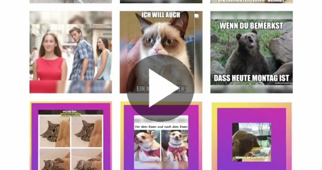 Wie entsteht ein Meme? - Von der Idee bis zum viralen Hit | wissen.de