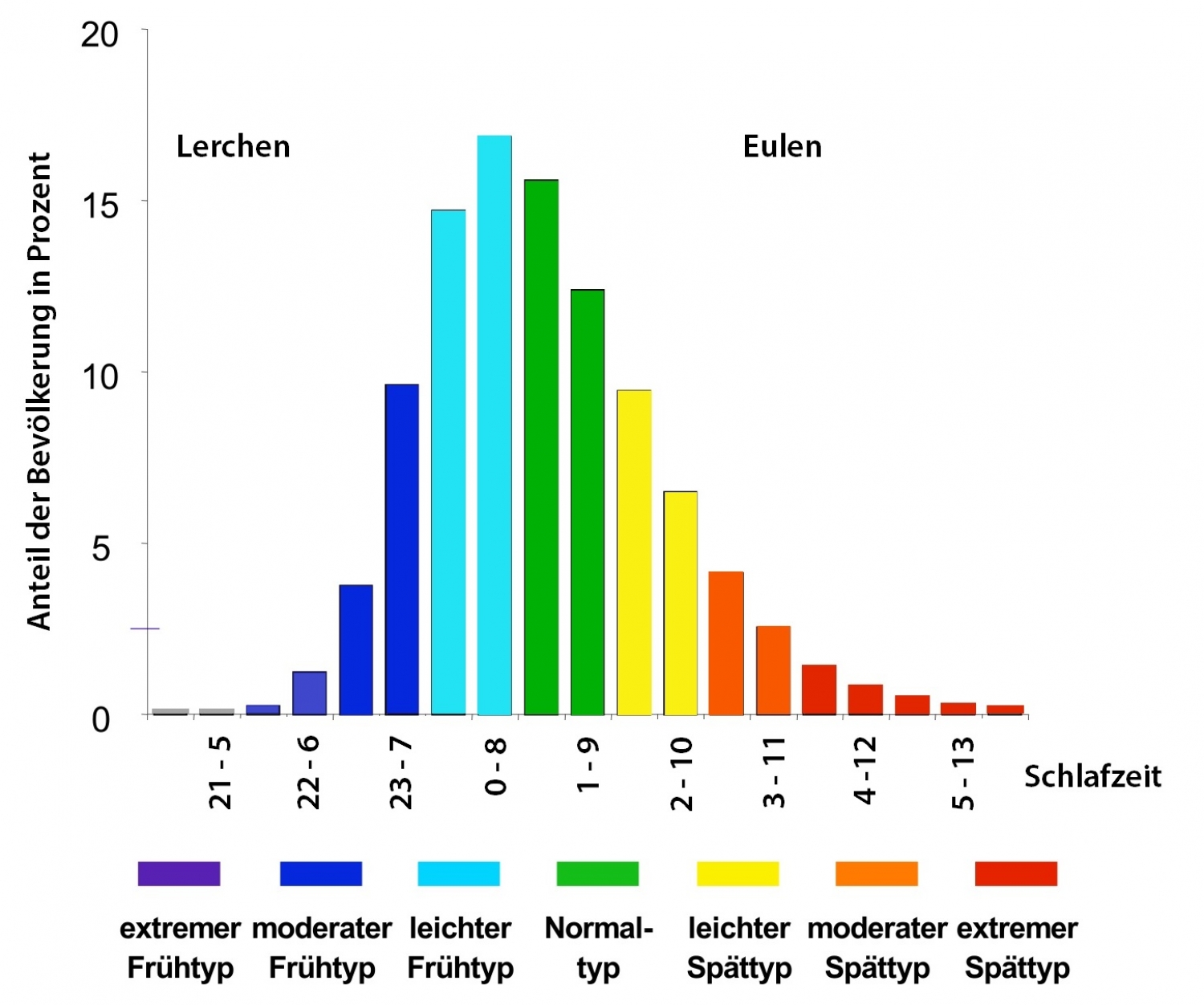 Nachteulen und Frühaufsteher: Was bestimmt unseren Chronotyp? | wissen.de