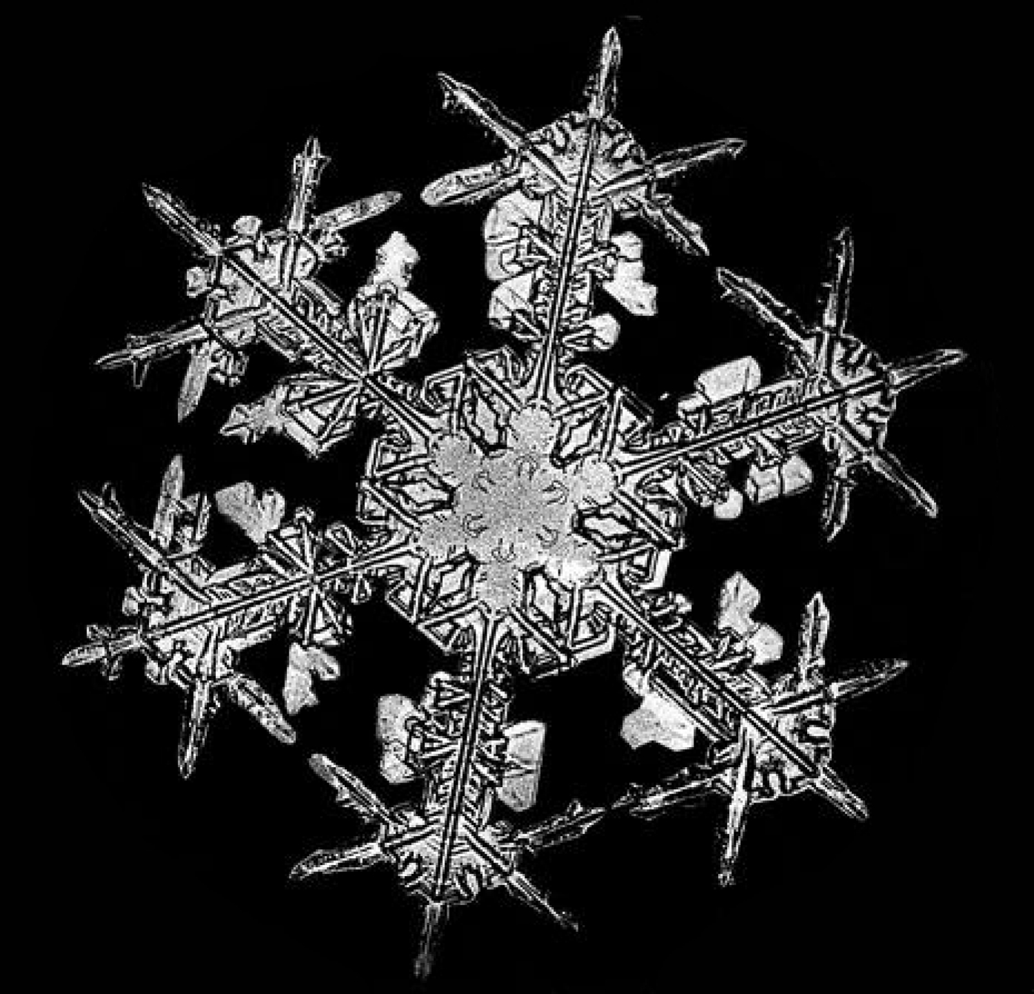 Kunstwerke der Natur: Warum sind Schneeflocken so perfekt symmetrisch ...