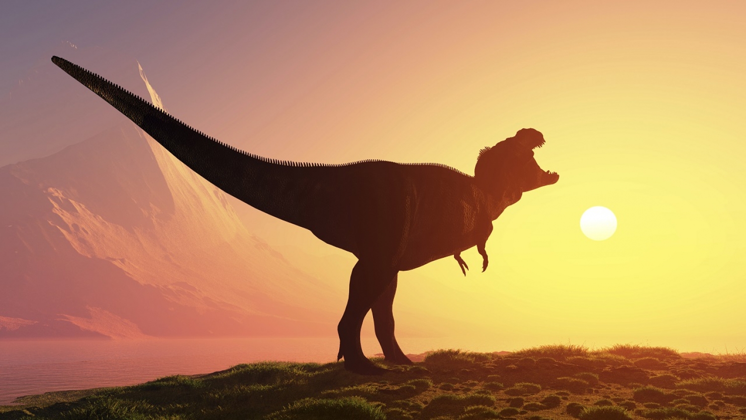 Zurück in die Urzeit - Welche Tierarten haben bis heute überlebt ...