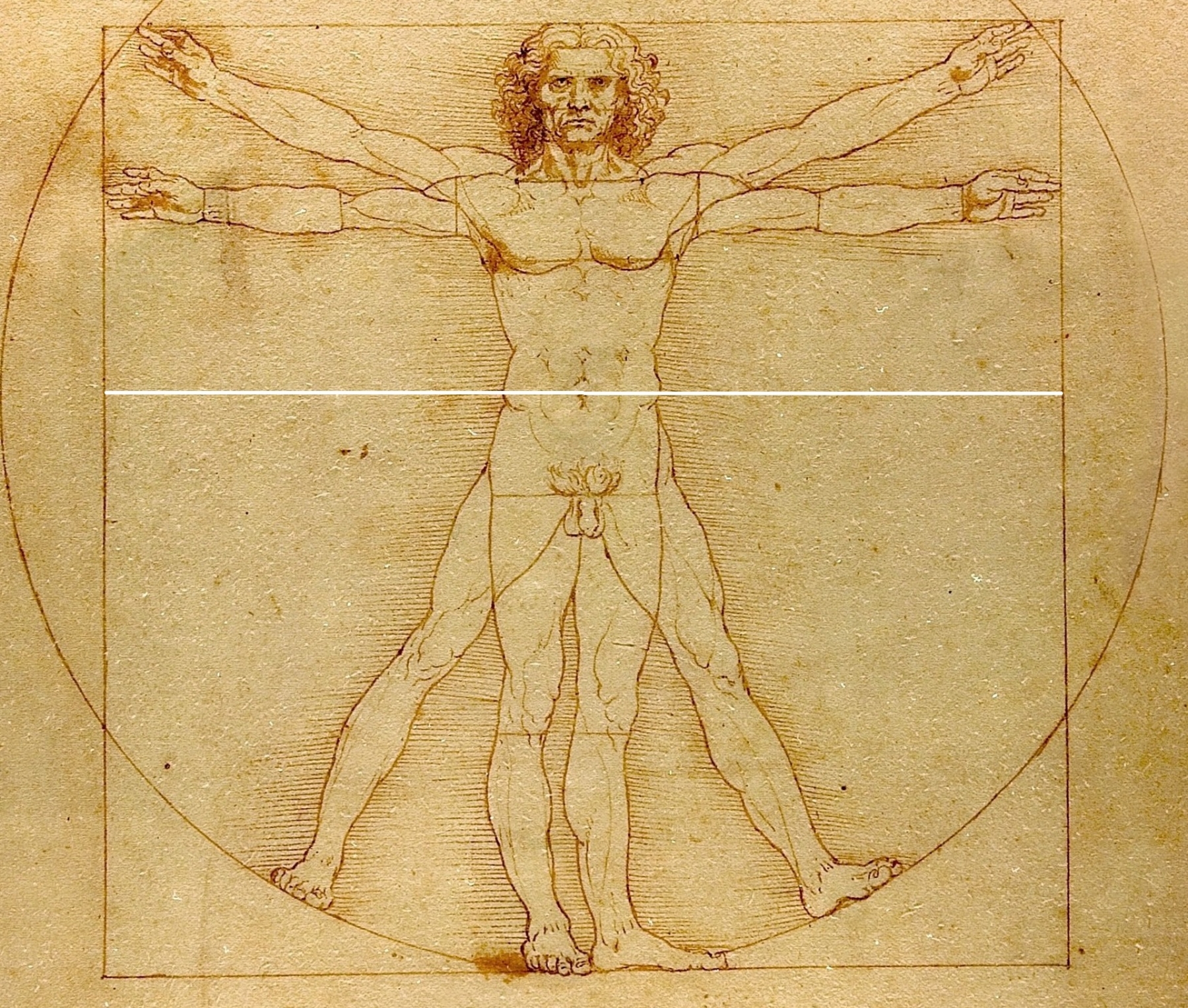 Der Goldene Schnitt – das mathematische Geheimnis der Schönheit | wissen.de