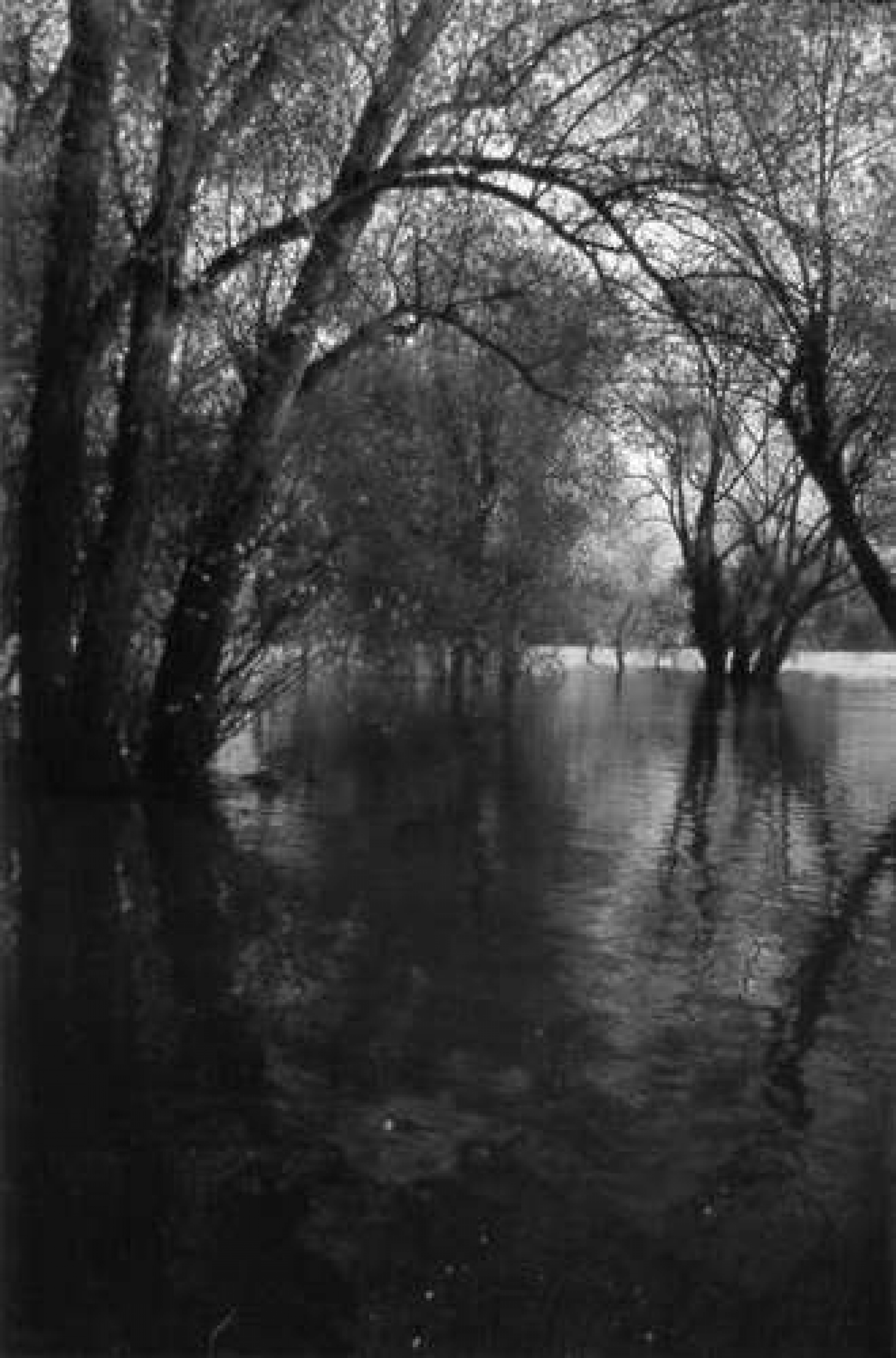 Sturm-Katastrophen in Deutschland | wissen.de