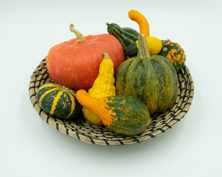 Der Kürbis: Trendgemüse der Herbstzeit | wissen.de